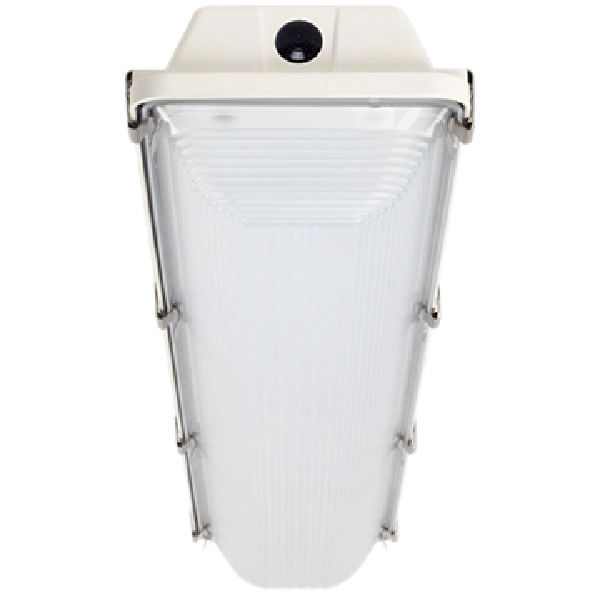 Arena Lights - Orion West Lighting